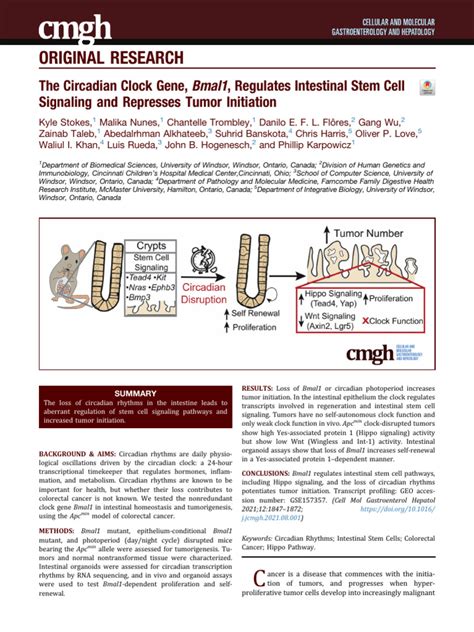 The Circadian Clock Gene Bmal1 Regulates Intestinal Stem Cell Signaling And Represses Tumor