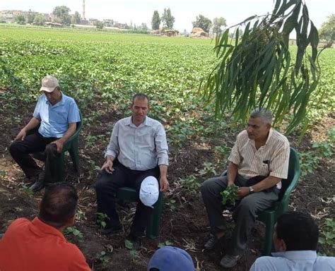 زراعة الشرقية تنظم ندوة إرشادية حول الآفات التي تصيب المحاصيل الصيفية