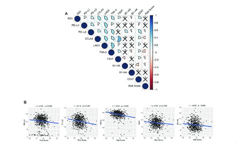 Association Between The Glycolytic Risk Model And Immune Checkpoint Download Scientific Diagram