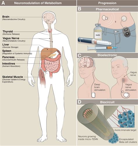 Target Organs And Progression Of Neuromodulation Technologies To
