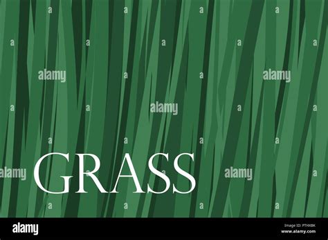 Vector Grass Background Abstract Grass Texture Floral Summer