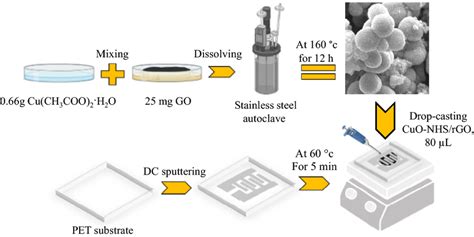 Schematic Illustration Of The Material Synthesis Process And The Download Scientific Diagram
