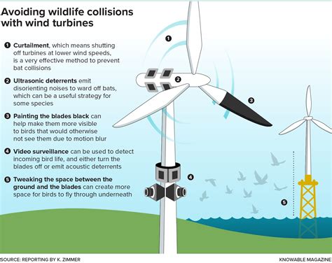 How Wind Turbines Could Coexist Peacefully With Bats And Birds Big Think