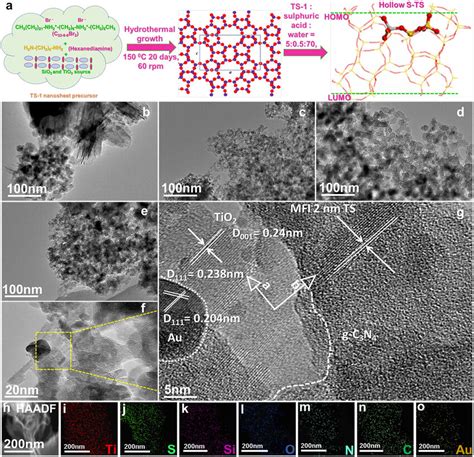 Schematic Illustration Of The Ultrathin 1au 4t 8cn 0 7hts Download Scientific Diagram