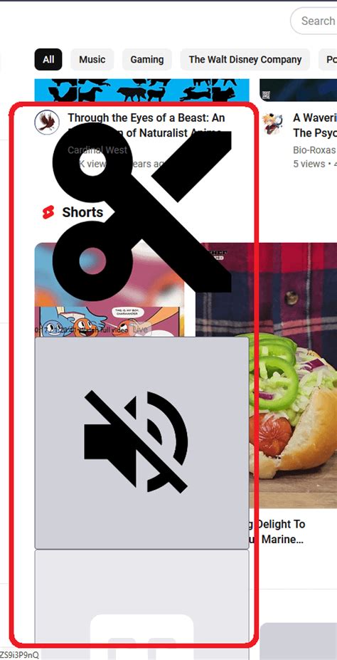 Youtube Wont Show Me The Progress Bar On Videos And Now I Get This
