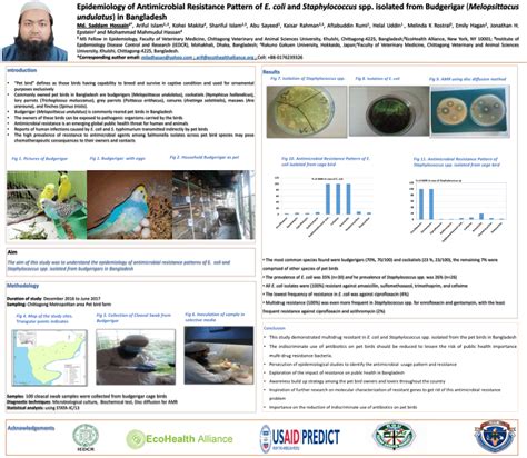Pdf Epidemiology Of Antimicrobial Resistance Pattern Of E Coli And Staphylococcus Spp