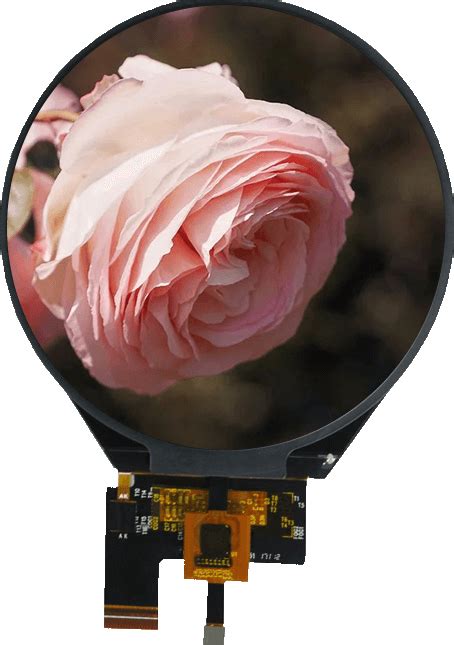 TFT LCD Displays With Touch Panel High Quality Interactive Solutions