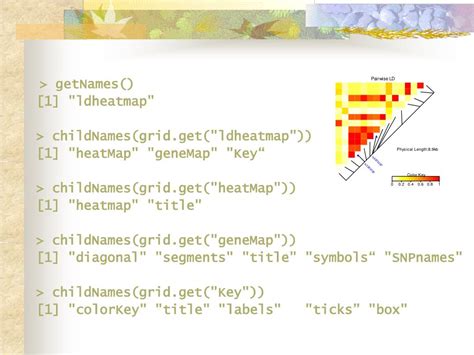 Ppt R Graphics Using The Grid Package Sigal Blay Statistical Genetics