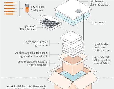 Dora Nemeth On Behance