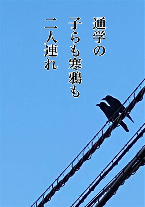山猫 on Twitter 通学の子らも寒鴉も二人連れ 山人 寒鴉かんあ 俳句 haiku 寒鴉 https t co