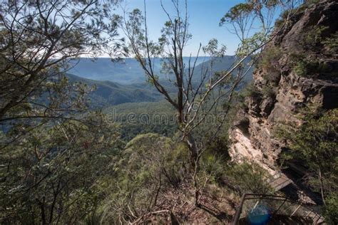 Montanhas Azuis Perto De Sydney Australia Foto De Stock Imagem De