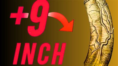 Kegel Exercises For Men At Home Increase Size Of Dragon Youtube