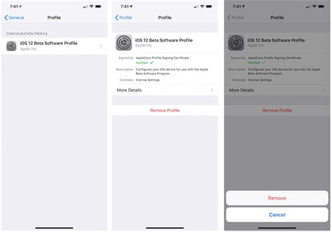 Install Ios 14 Beta Profile Garui