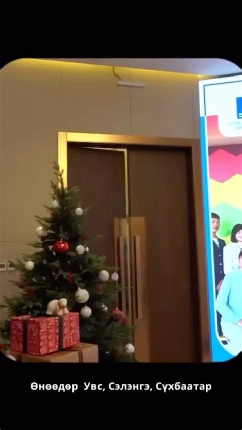 Solongoo Bayarsaikhan Solongoob • Instagram Photos And Videos