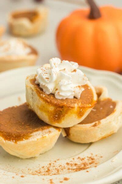 Mini Pumpkin Pies Xoxobella