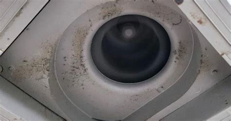 가격도 적당하고 오랫동안 바닥만 청소해서 여기저기 때가 많았는데 깨끗하게 청소해 주셨습니다 숨고 숨은고수