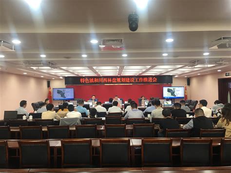特色镇和川西林盘规划建设工作推进会 集团动态