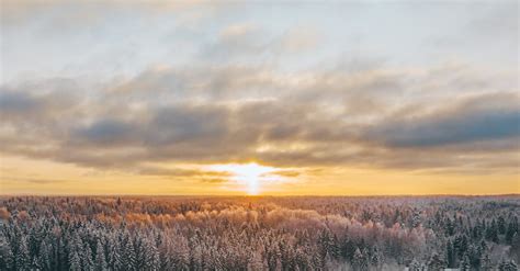감기 겨울 겨울 동화나라 겨울 시즌 경치 경치가 좋은 고요한 골든 아워 광야 광활한 구름 나무 널찍한 눈