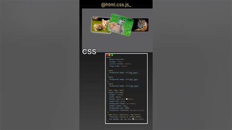 Dive Into The World Of Web Design Witness The Sleek Css And Html Dance On Our Login Page Swipe
