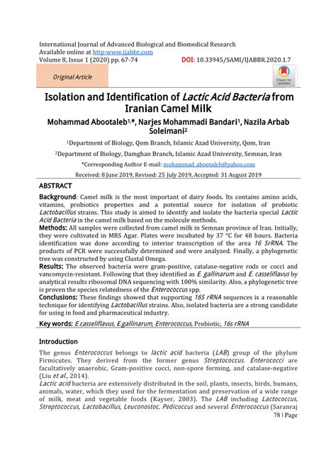 Pdf Isolation And Identification Of Lactic Acid Bacteria From Iranian Camel Milk