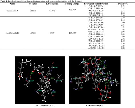Molecular Interaction Of Substrate Binding Domain Of Hsp70 With The Hit Download Scientific