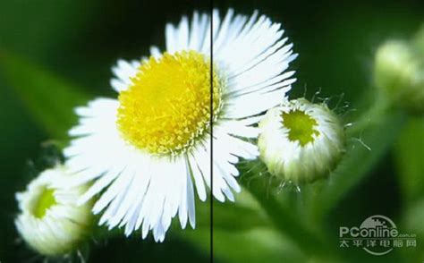 多投影完美拼接——边缘融合投影技术投影重叠的部分是什么 Csdn博客 多投影完美拼接——边缘融合投影技术投影重叠的部分是什么 Csdn博客