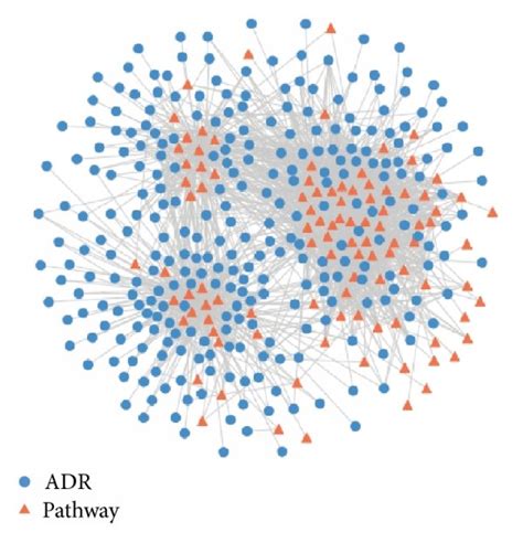 The AP Network A In The AP Network The Blue Circles Correspond To Download Scientific