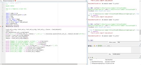 course 1 programming assignment 1 neural networks and deep learning
