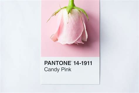 Decoding Color Systems Pantone CMYK And RGB Explained HipFonts