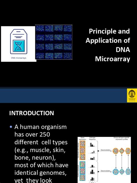 Principle And Application Of Dna Microarray Pdf Dna Microarray
