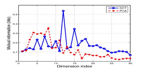 mutual information between each feature variable and speaker class
