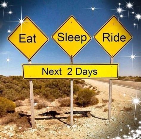 Happy Friday Everyone Beartooth Pass Harley Davidson