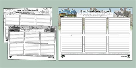 How Fossils Are Formed Sequencing Mind Map Twinkl