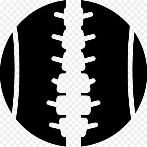 Spinal Cord Vector At Vectorified Com Collection Of Spinal Cord Vector Free For Personal Use