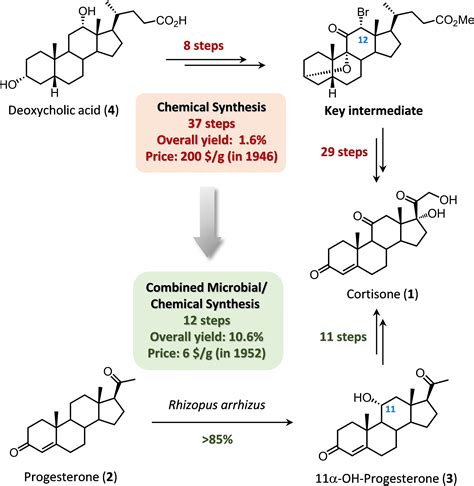 Merging Continuous Flow Technology Photochemistry And Biocatalysis To Streamline Steroid