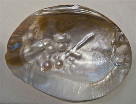 Filemother Of Pearl Internal Beads2 Hg