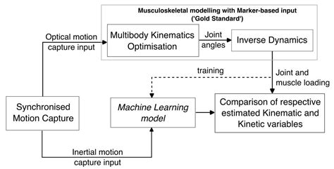 Bioengineering Free Full Text Machine Learning For Optical Motion Capture Driven