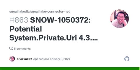 snow 1050372 potential system private uri 4 3 0 issue · issue 863
