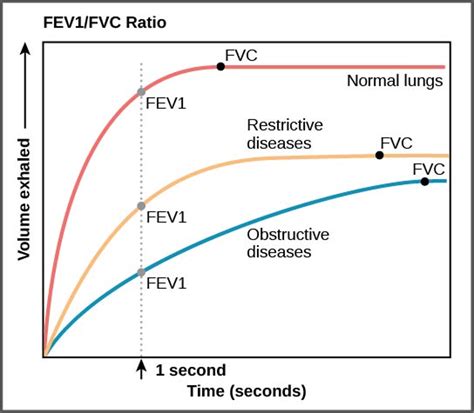 Obstructive Vs Restrictive Lung Disease Spirometry