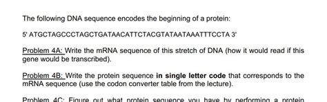 solved the following dna sequence encodes the beginning of a