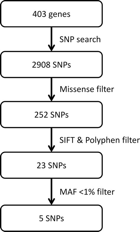 Targeted Snp Search And Filtering Steps Download Scientific Diagram