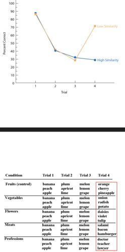 Learning And Memory Exam 3 Flashcards Quizlet