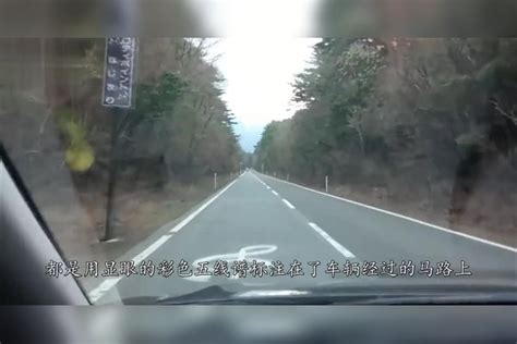 一条会唱歌的高速公路时速保持45公里有惊喜发生 高速公路 时速