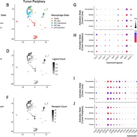 Umap Clustering Of Single Cell Data With Seurat Cells Are Clustered In