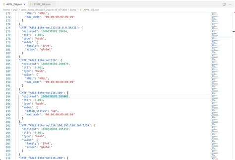 Subinterface Subport Error Switch Crashing · Issue 714 · Sonic