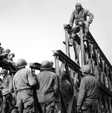 How Catnip Gets Your Cat High Vox