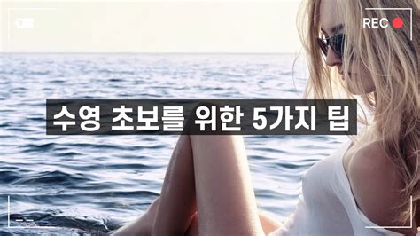 수영 초보를 위한 5가지 팁 재미있는 상식 Youtube