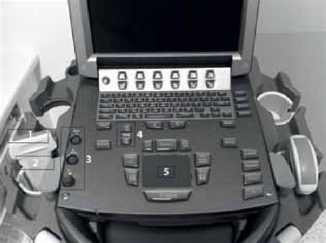 Sampling Areas On The Ultrasound Equipment 1 Linear Array Transducer Download Scientific