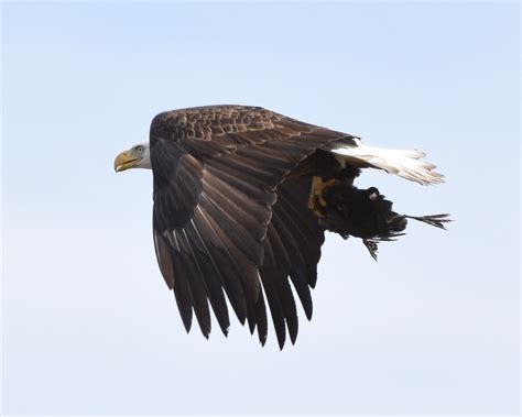 Don Hoechlin Quixdimnd Twitter