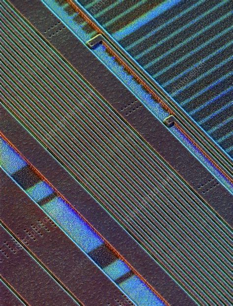 Coloured Sem Surface Of An Integrated Silicon Chip Stock Image T370